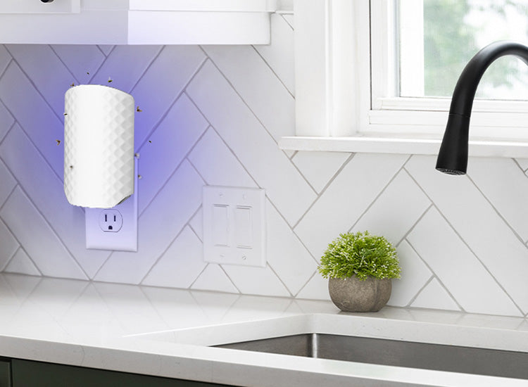 Top 10 Drain Fly Traps That Work in 2025: Buyer’s Guide – wowcatch2025