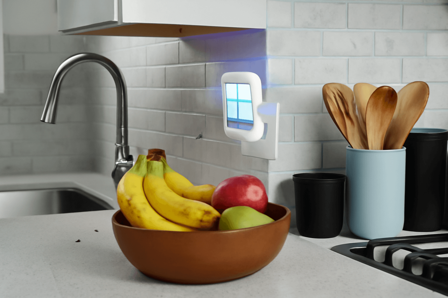 Why Are Flies Buzzing Around Your Kitchen: Hidden Attractants Explaine ...